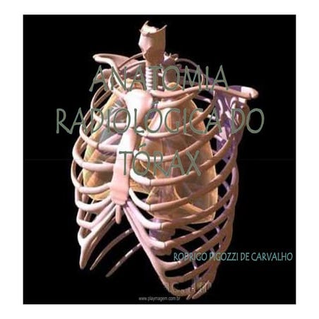 Anatomia do tórax | PDF