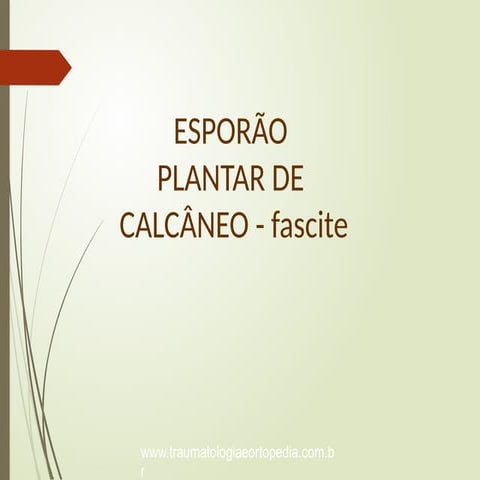 aula facite plantaraula novai inicio .pptx