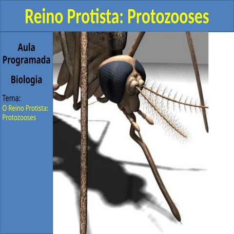 Protozoários - características e protozooses | PPTX