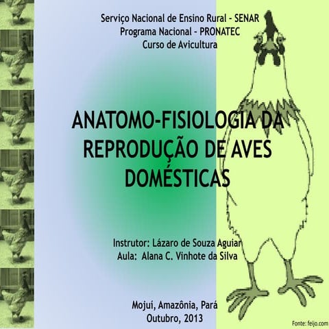 Anatomia das aves | PDF