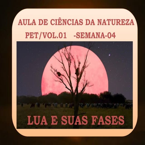 Astronomia - Sistema Solar - Terra - Rotação - Translação - Fases da ...