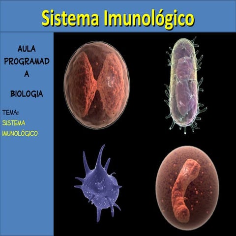 Comprehensive Immunology Quiz: Understanding the Human Immune System | PPTX