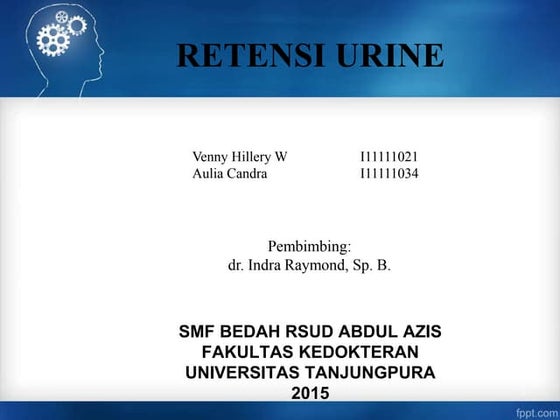 Anatomi Sistem Urinaria | PPT