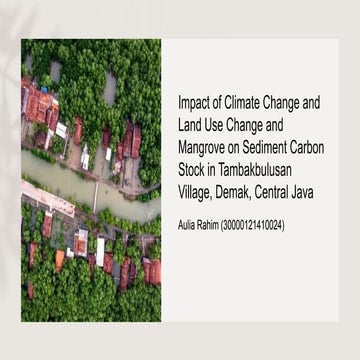Mangrove blue carbon assessments and lessons from the field | PDF