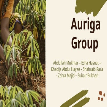 Supply Chain Management and Details at Auriga Group | PPT