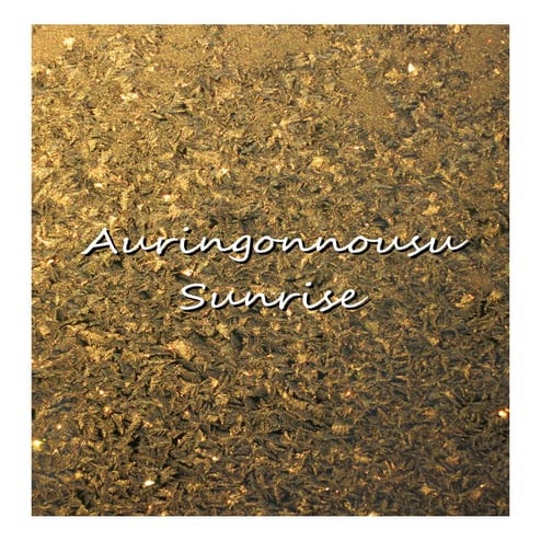 Auringonnousu Sunrise | PDF