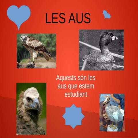 Les aus | PDF