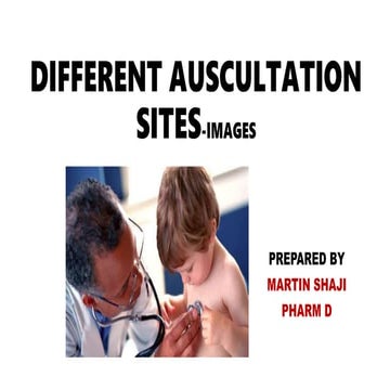 Auscultation sites- images | PPTX | Lung and Respiratory Health ...
