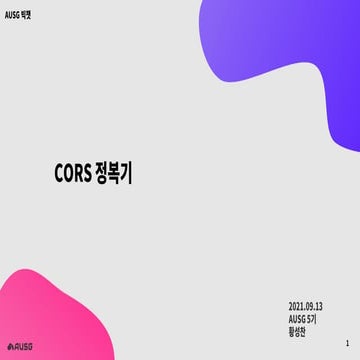 CORS 정복기 | PDF