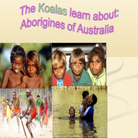 Koalas Learn about Australia pre-colonisation | PPT