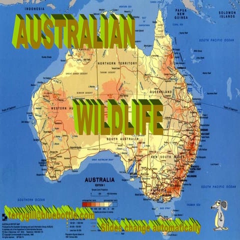Australian Wildlife | PPS