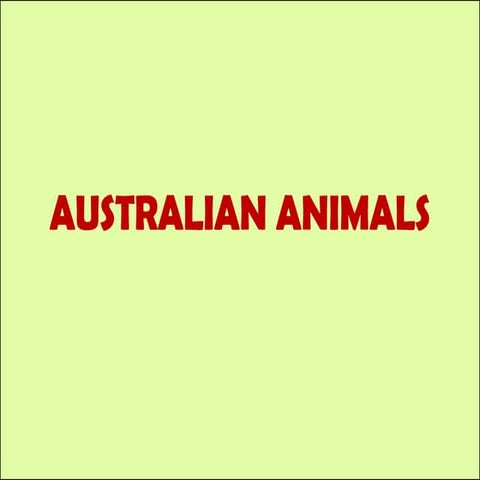Australian animals | PPT