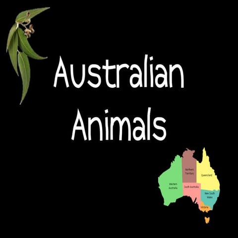 Australian animals | PPTX