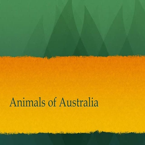 Australian animals powerpoint | PPT