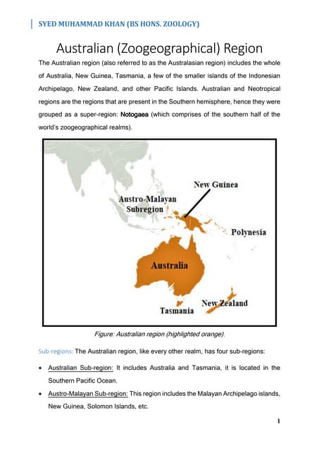 Palaearctic region | PPT
