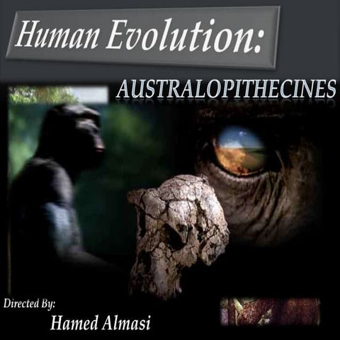 Australopithecines | PPTX