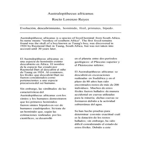 Australopithecus africanus | PPT