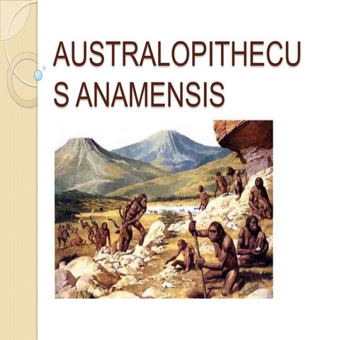 Australopithecus anamensis | PPTX