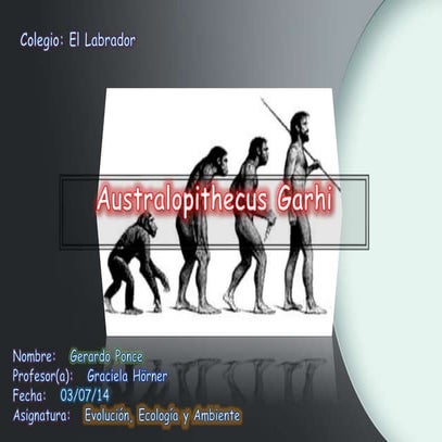 Australopithecus garhi | PPTX