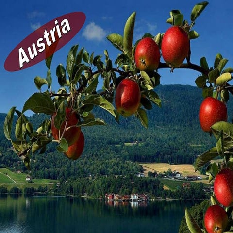 .Austria | PPT