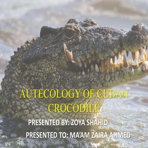 Autecology of cuban crocodile | PPTX