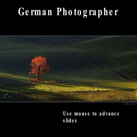 Autistic Photographer | PPS