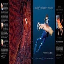 Jacques Cousteau | PPT