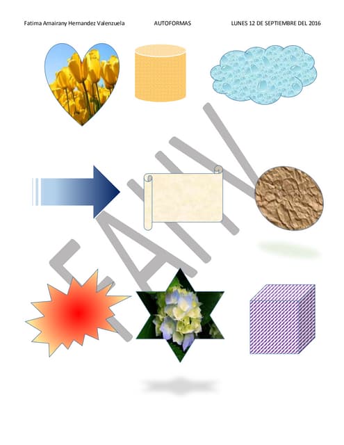 CareerFoundry_Certificate_Améline Cunin | PPT