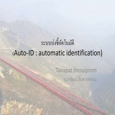 S3 Auto id | PDF
