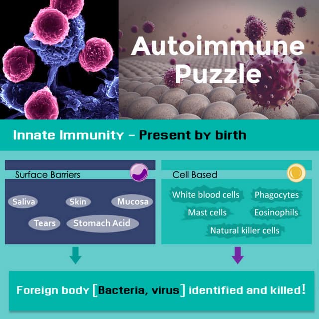 The Autoimmune Puzzle | PDF