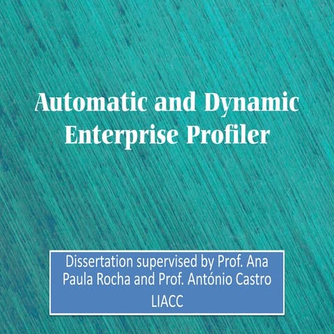 Automatic and dynamic profiling of enterprises | PDF