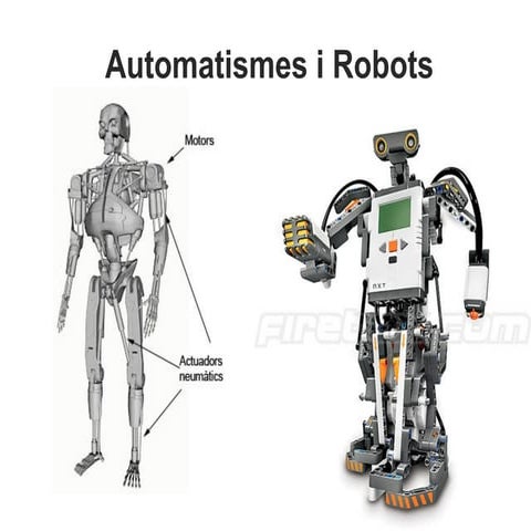 Automatismes | PPT