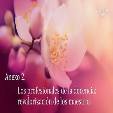 AUTONOMÍA PROFESIONAL PARA LA EDUCACIÓNP | PPTX