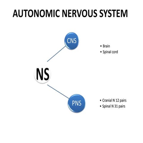 Autonomic nervous system | PPTX