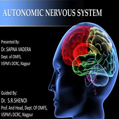 Autonomic nervous system | PPTX
