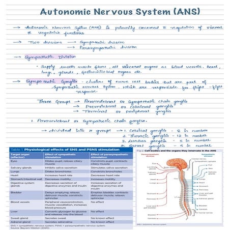 AUTONOMIC NERVOUS SYSTEM Sympathetic and Parasympathetic | PDF