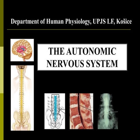 Autonomic nervous system | PPTX