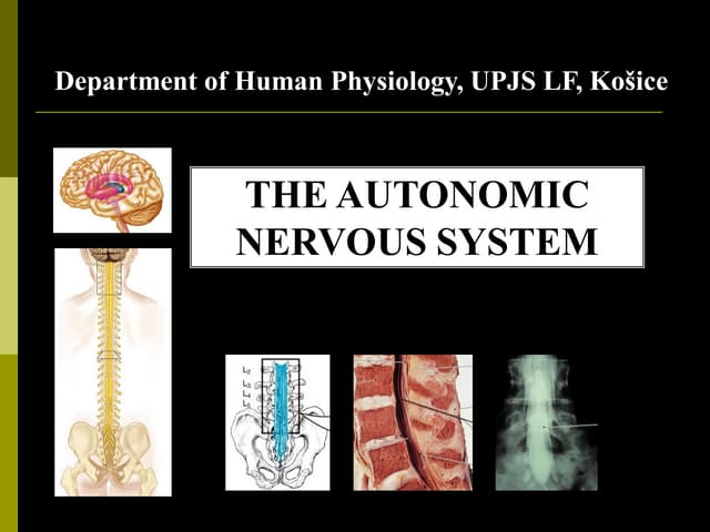 Autonomic nervous system | PPTX