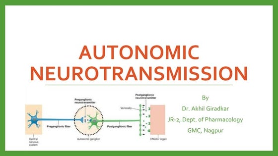Neurotransmission Ppt Neurotransmitters & Their Role In Health Ppt
