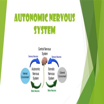 Autonomic nervous system | PPTX