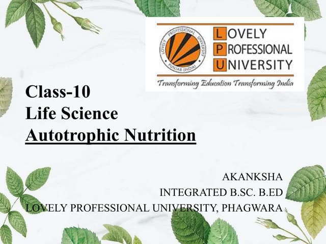 Modes of nutrition | PPTX | Nutrition | Healthy Living