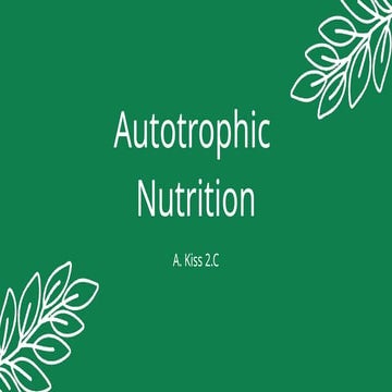Autotrophic Nutrition Presentation Green | PPT