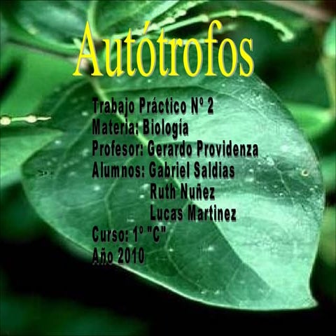 Autótrofos | PPT