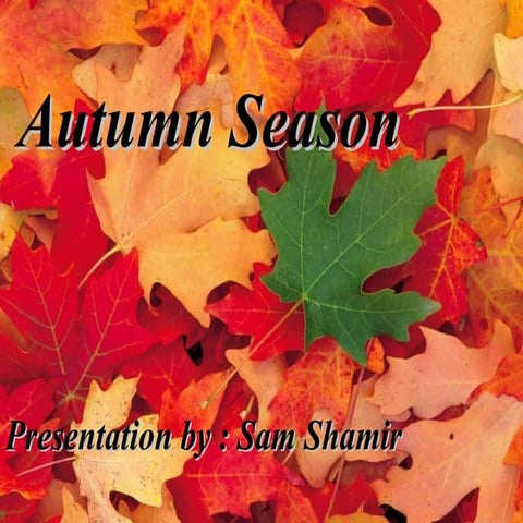 Autum Season | PPS