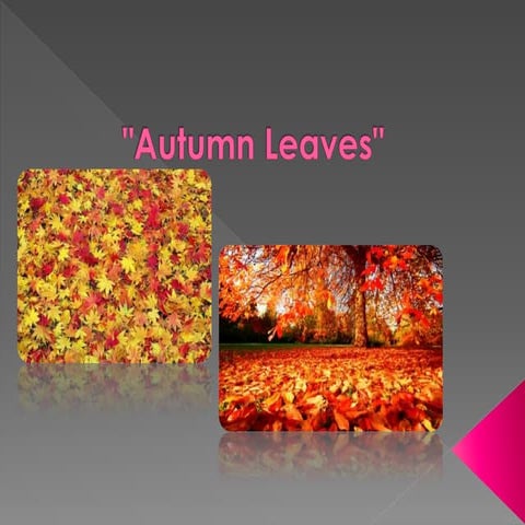 Autumn | PPTX