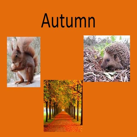 Autumn | PPT