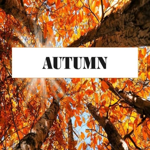 Autumn | PPT