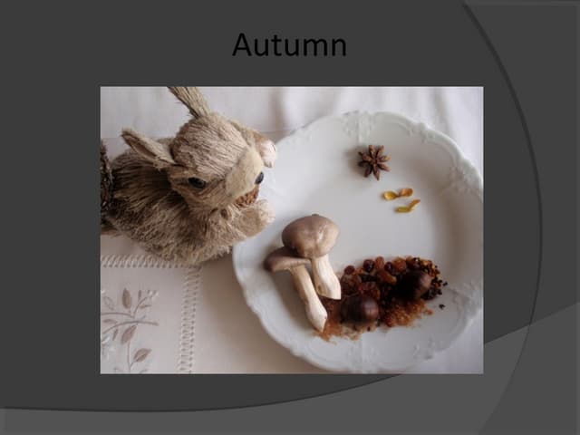 DR Dinner TDH Menu 1 | PPT