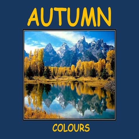 Autumn Colours | PPS