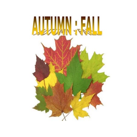Why do leaves change colors | PPTX